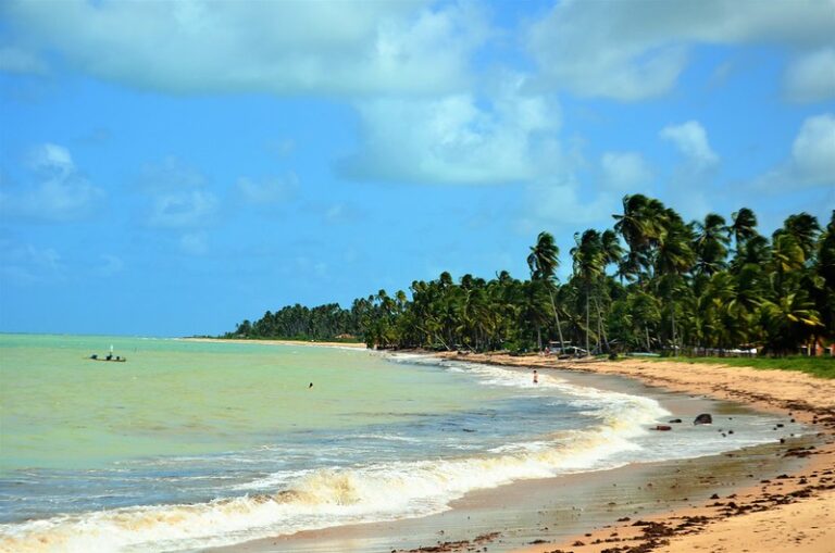 Litoral alagoano: As 10 melhores praias de Alagoas – fastartweb.com